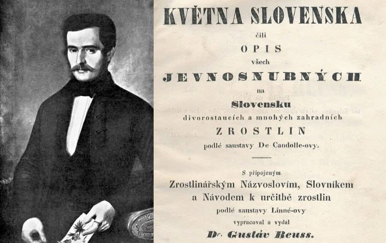 Svetová slovenčina – slovanské esperanto | Mr. Slovak
